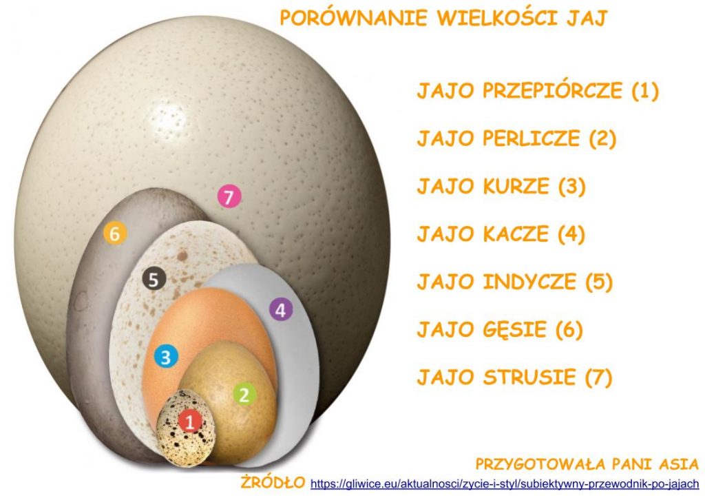 Grupa III “Biedronki” – Strona Przedszkola nr 123